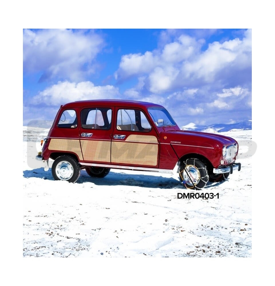 Stainless Steel Front Fender Profiles for Renault 4